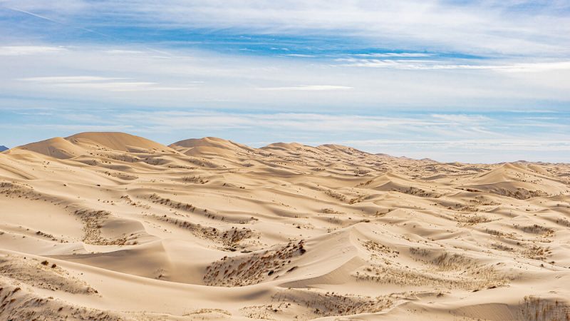 Explorando las impresionantes dunas de Samalayuca