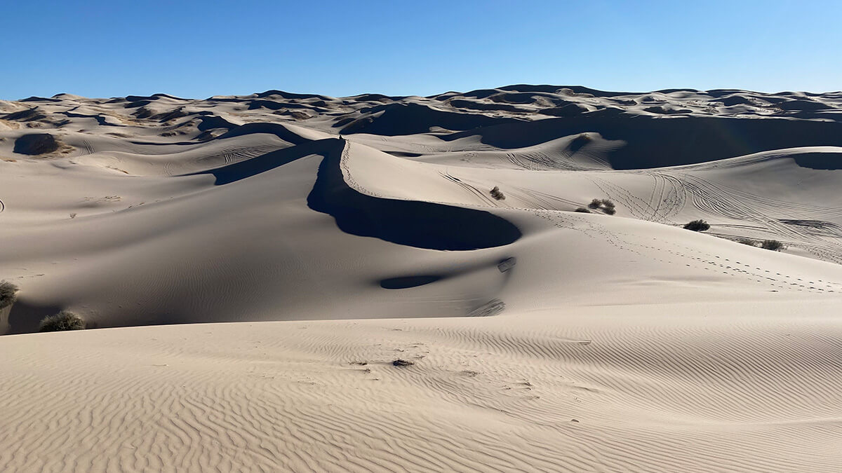 Explorando las impresionantes dunas de Samalayuca